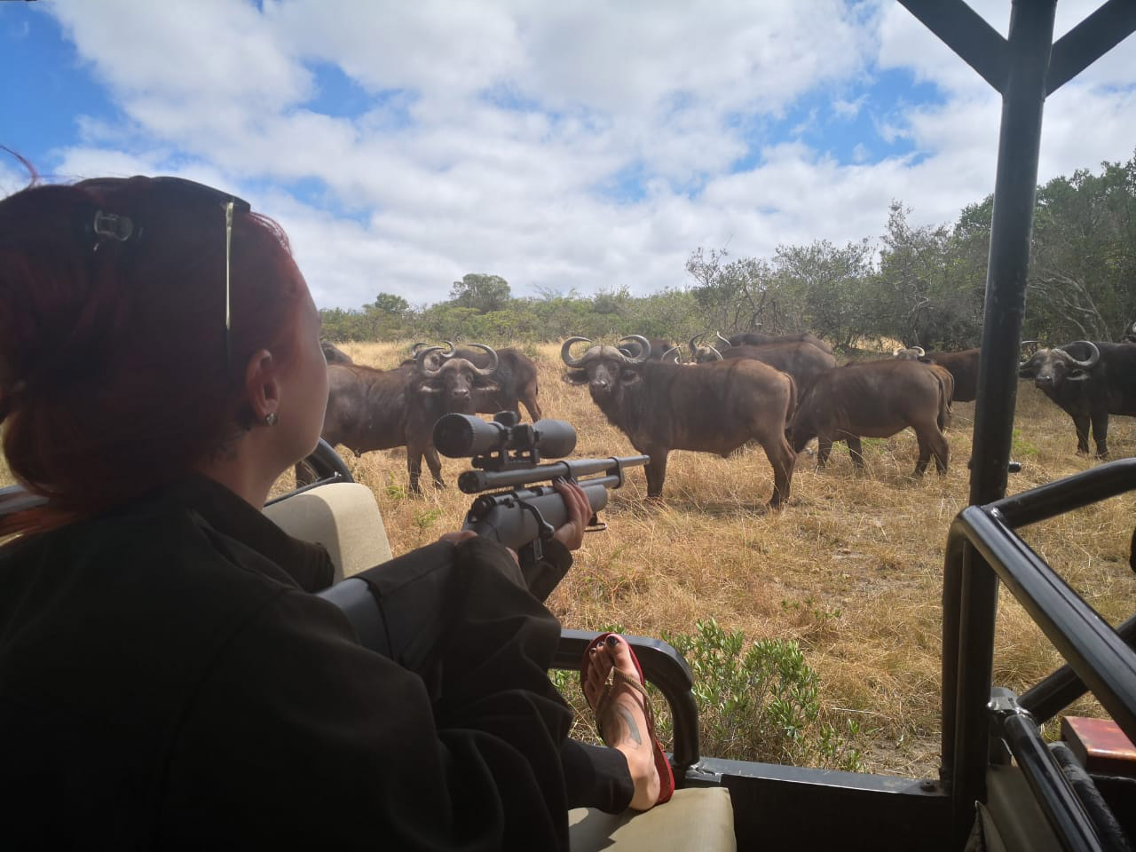 Wildlife management and veterinary experience - African Legends Wildlife